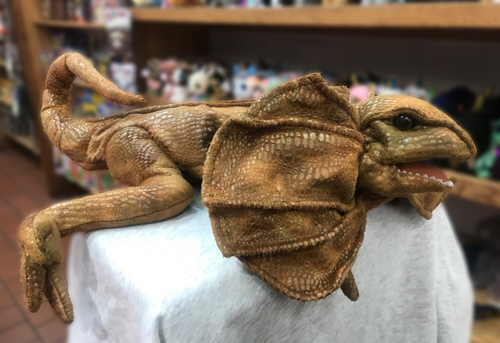 Folkmanis Frilled Lizard Puppet 18" – Sausalito Ferry Co